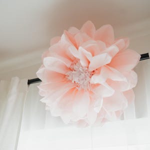 Assorted Tissue Paper Flowers: Custom Colors & Sizes – 10", 15", 20 ...