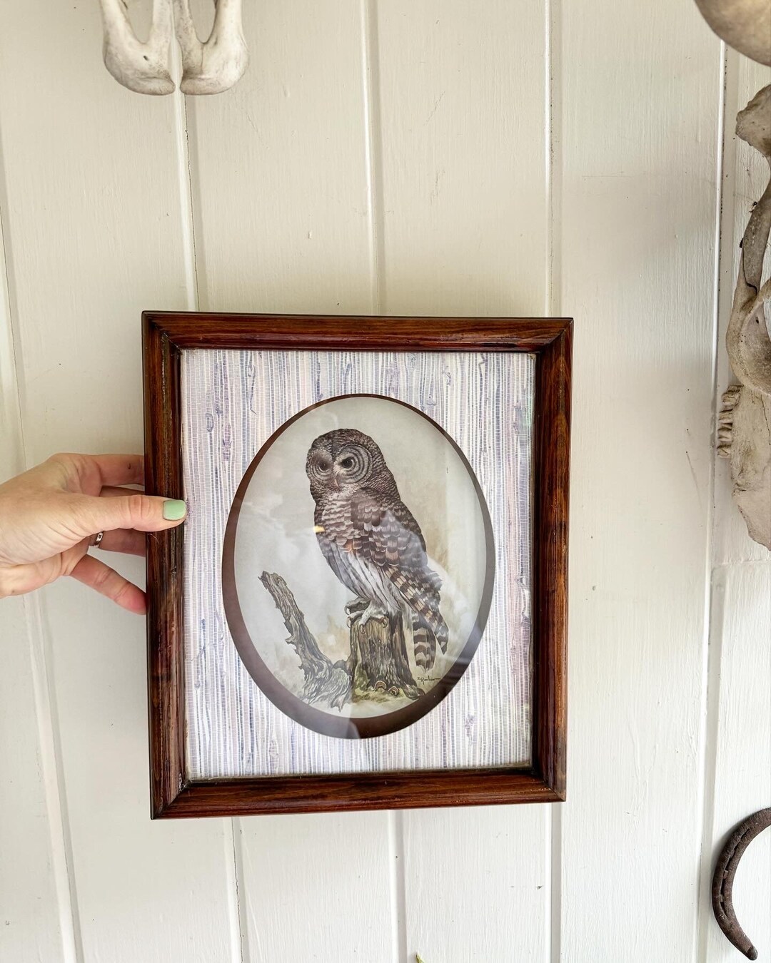 Vintage Thick Shadow Box Owl Framed Print by E. Rambow. Vintage 1970’s ...