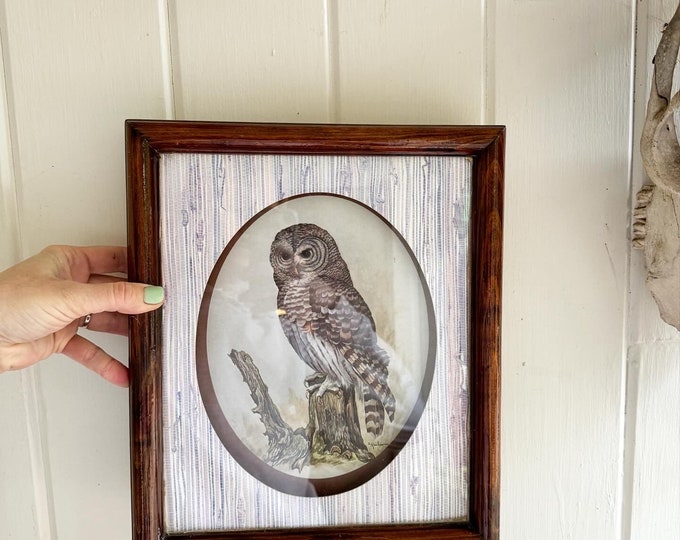 Vintage Thick Shadow Box Owl Framed Print by E. Rambow. Vintage 1970’s ...