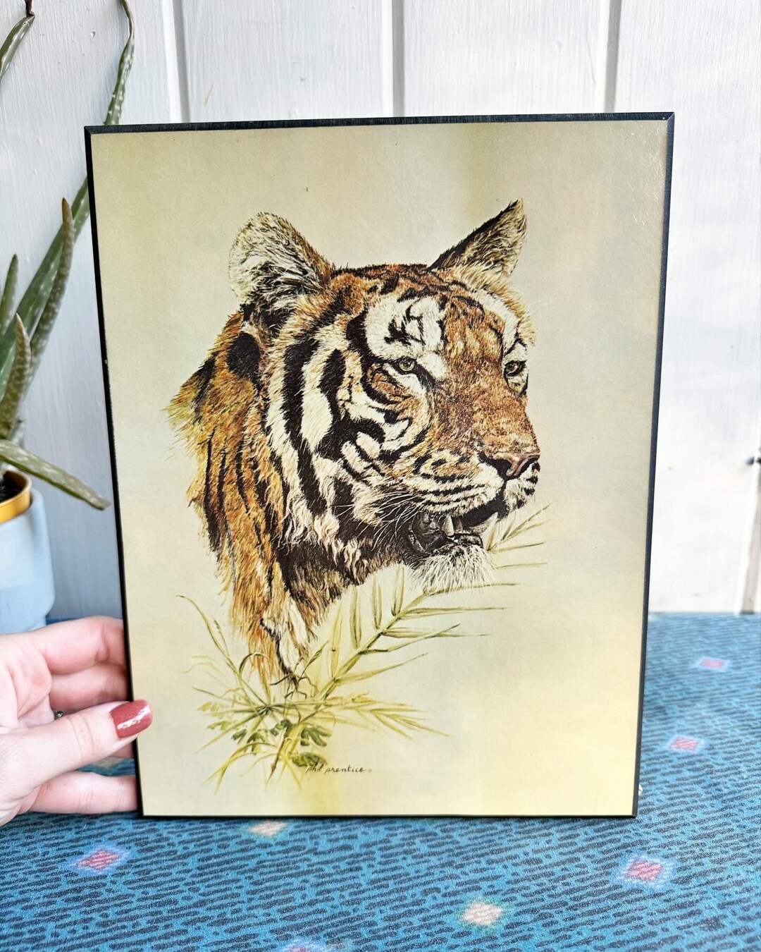 Vintage Retro 1970’s Tiger Lithograph by Phil Prentice. - Etsy
