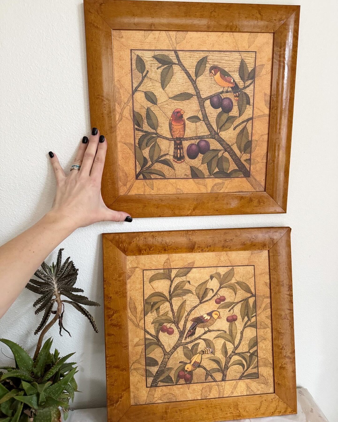 Set of Two Bird Paintings by J. Wiens Bassett. Art in Motion Bird Art ...
