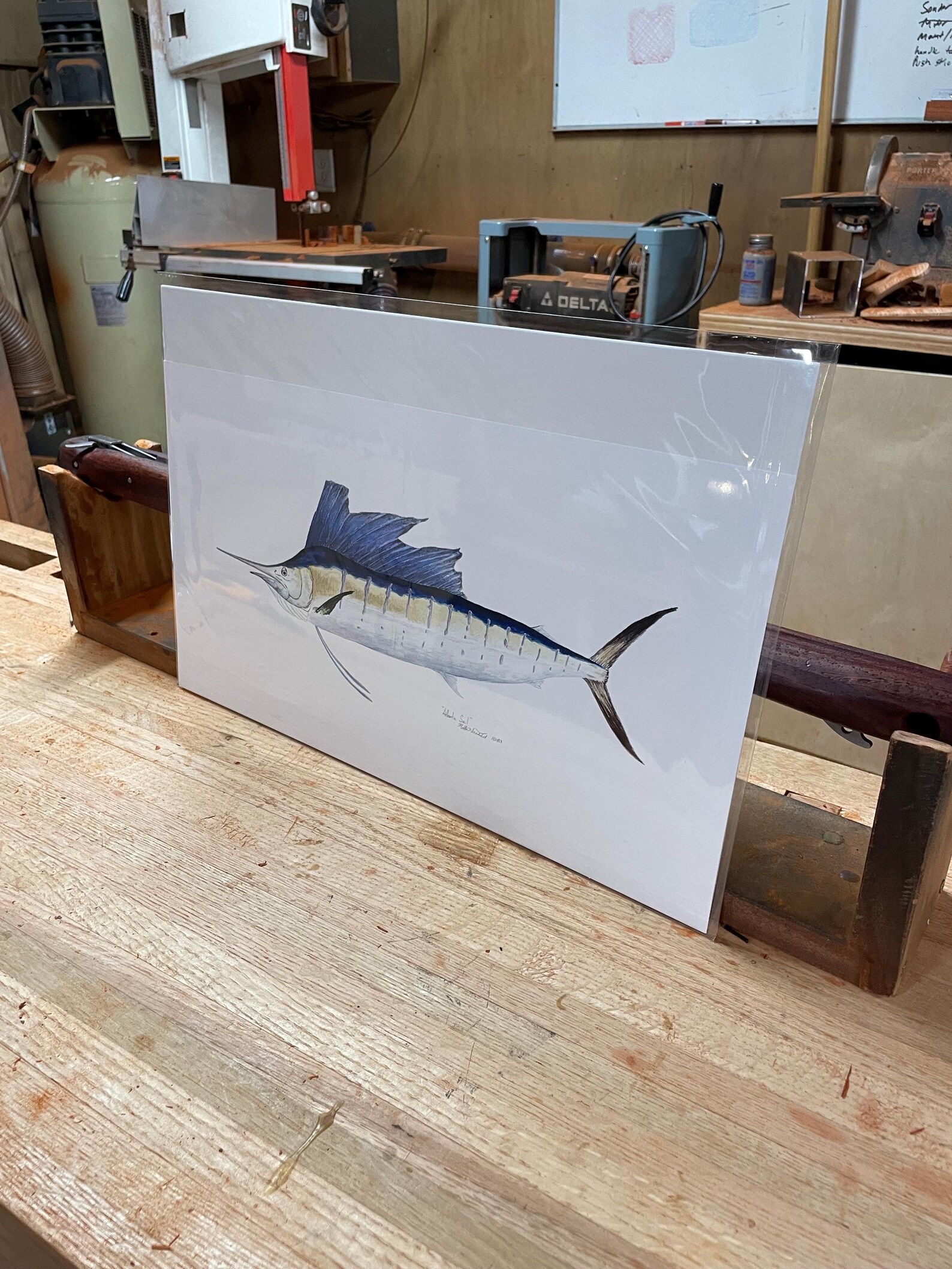 Sailfish Watercolor Fish Print - Etsy