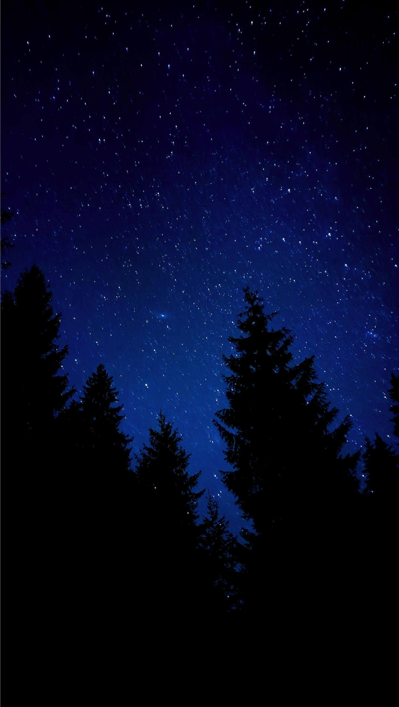 Calming Starry Night Wall Art Printable | Bedroom Night Sky Through ...