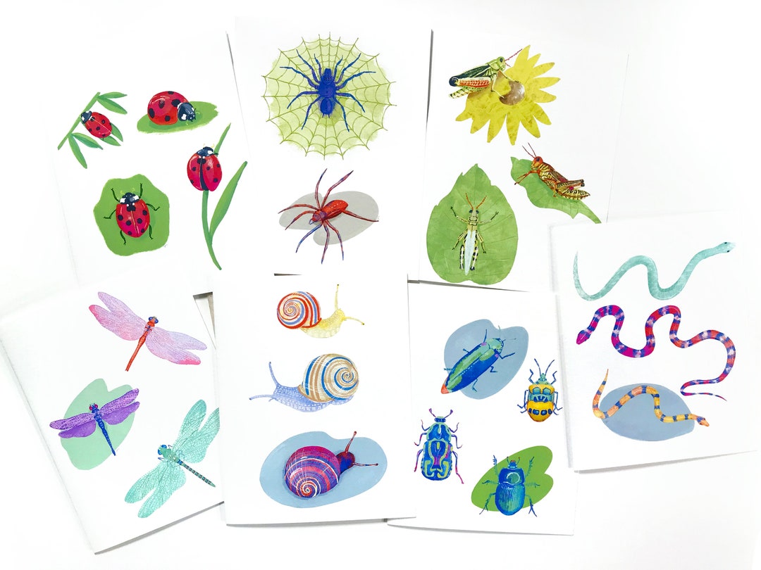 Creepy Crawlers Illustration Cards and Prints - Etsy