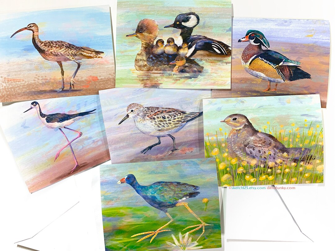 Migratory May Bird Cards - Horizontal Cards of Black Necked Stilt ...