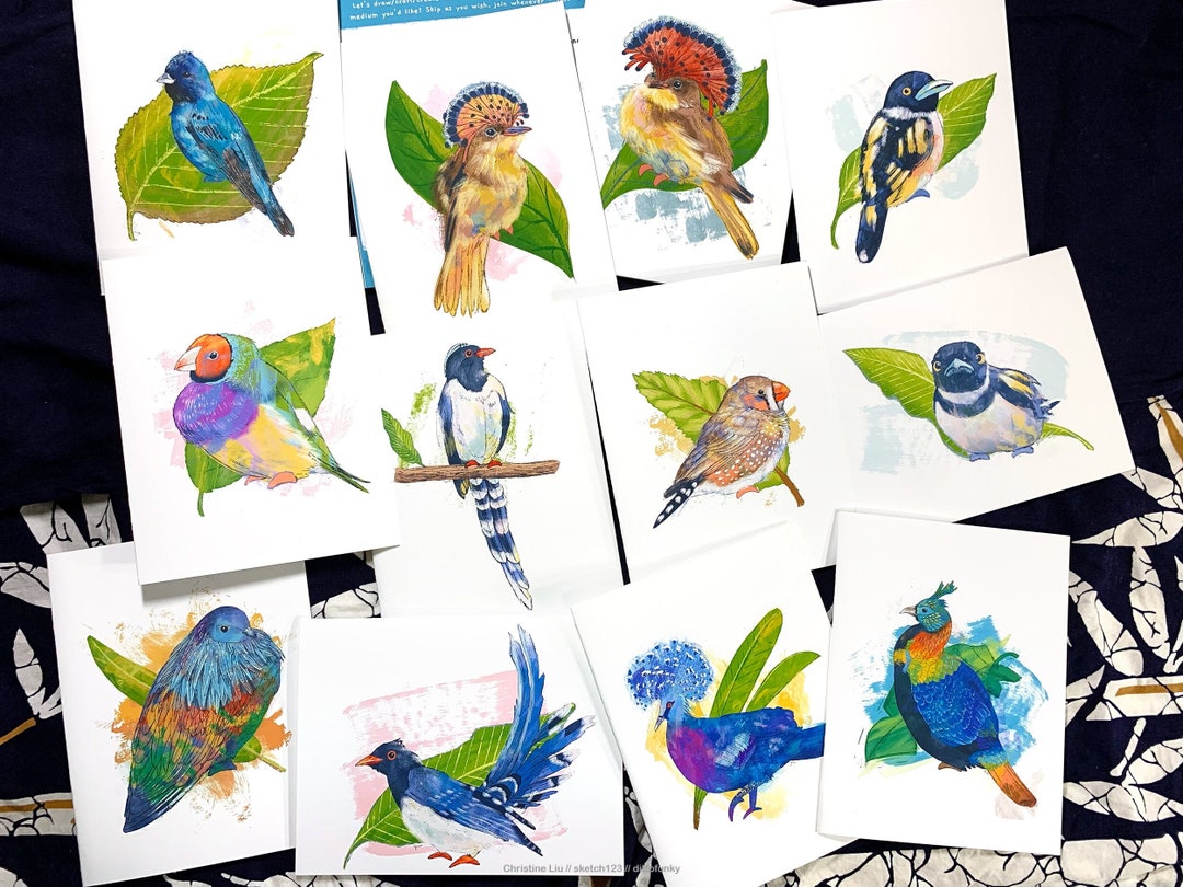 Birb Bird Cards - Vertical Cards of Flycatchers, Pigeons, Magpies ...