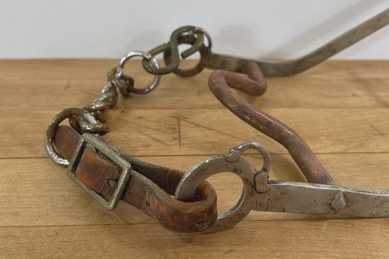 Animal Bit With Chain and Curb Strap, Horse Bit - Etsy