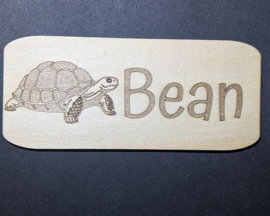 Personalized Tortoise Name Enclosure Sign: Natural Wood Pet Name Tag ...
