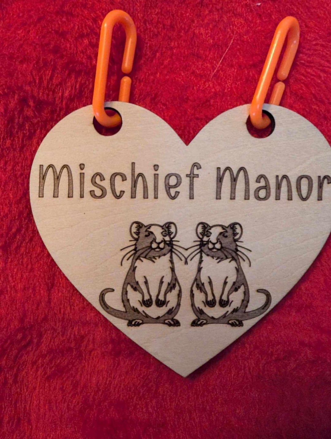 Personalized Rat Cage Name Tag | Rat Owner, Pet Rat Accessories ...