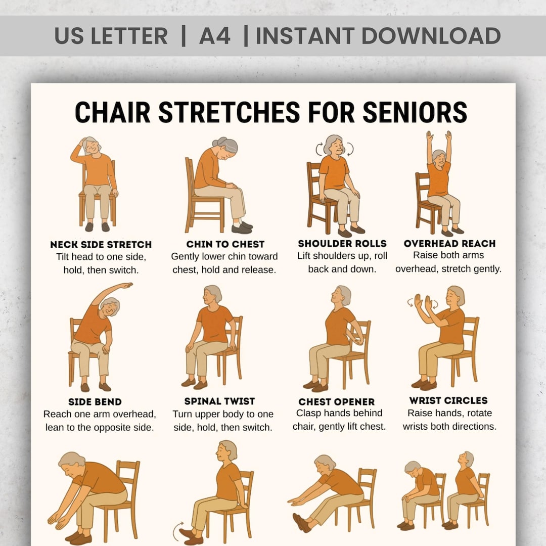 Chair Stretching Exercises for Seniors, Seated Stretch Routine ...