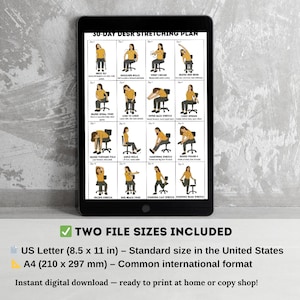 30 Day Desk Stretching Plan, Office Chair Exercises, Gentle Seated ...