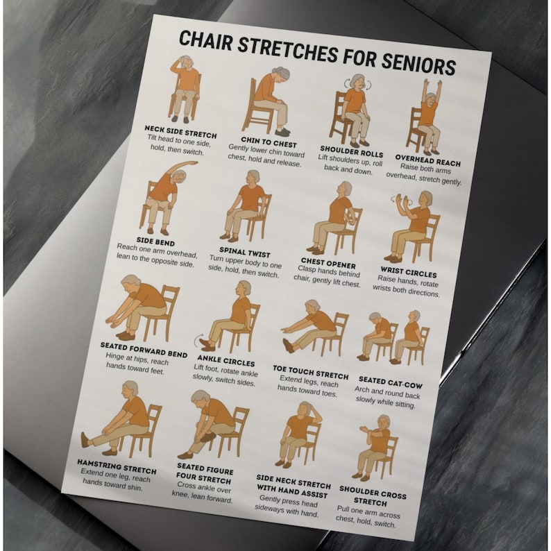 Chair Stretching Exercises for Seniors, Seated Stretch Routine ...