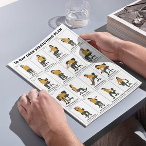 30 Day Desk Stretching Plan, Office Chair Exercises, Gentle Seated ...