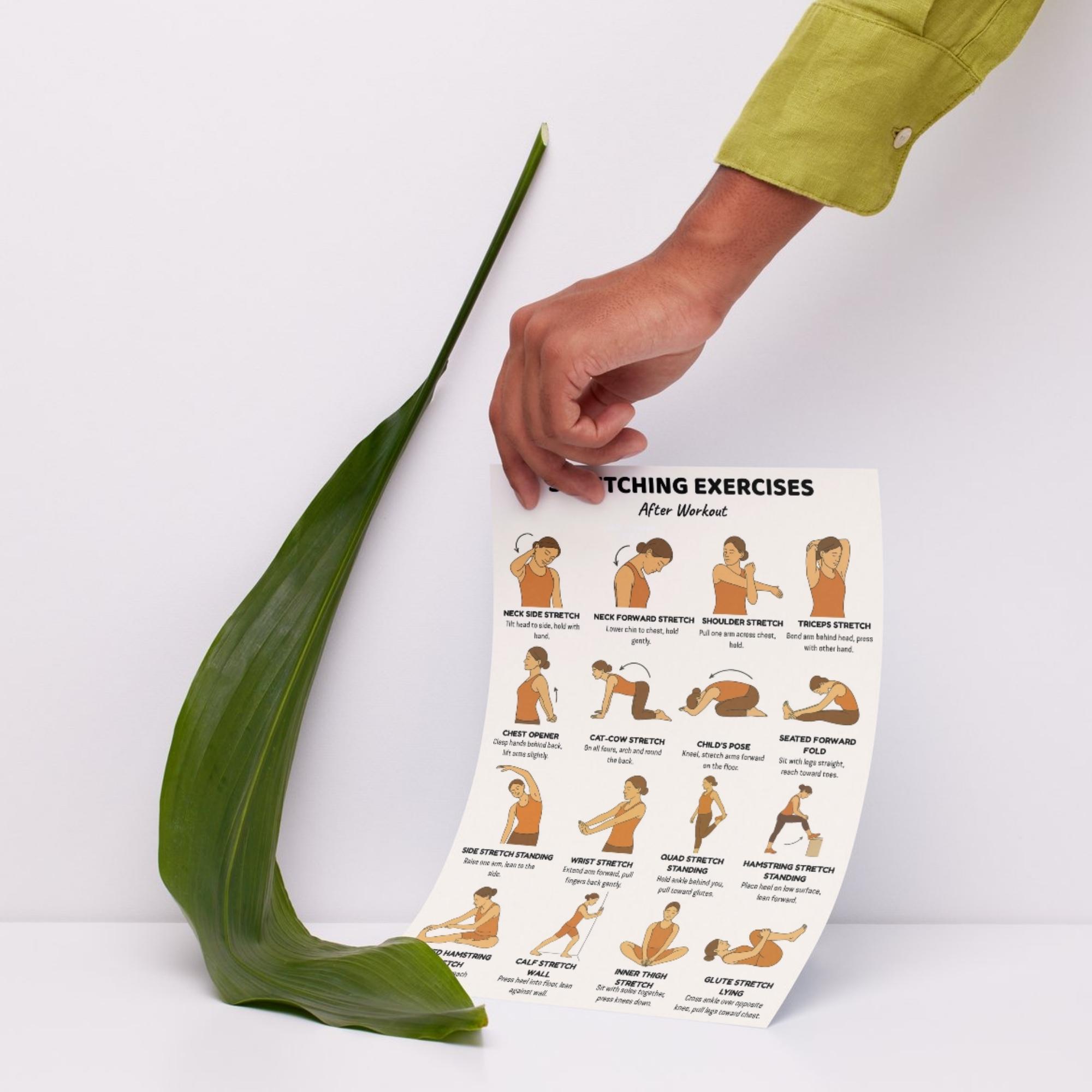Stretching Exercises After Workout Chart, Post Workout Stretching ...