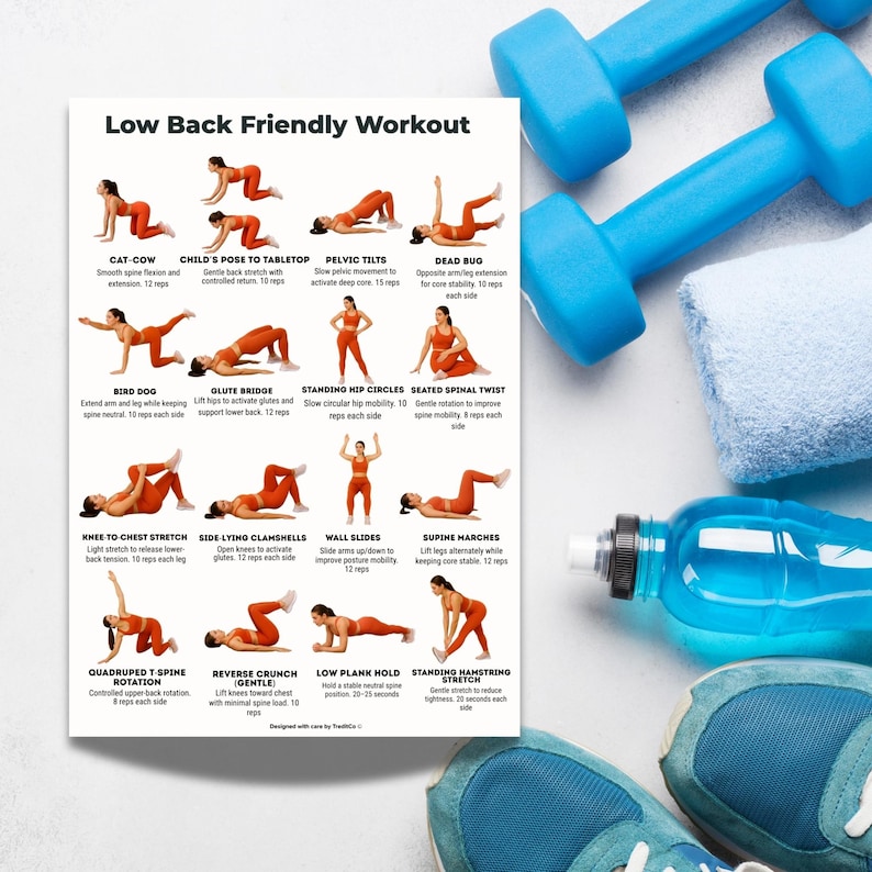 Low Back Friendly Workout | Safe Core Exercises | Beginner Mobility ...