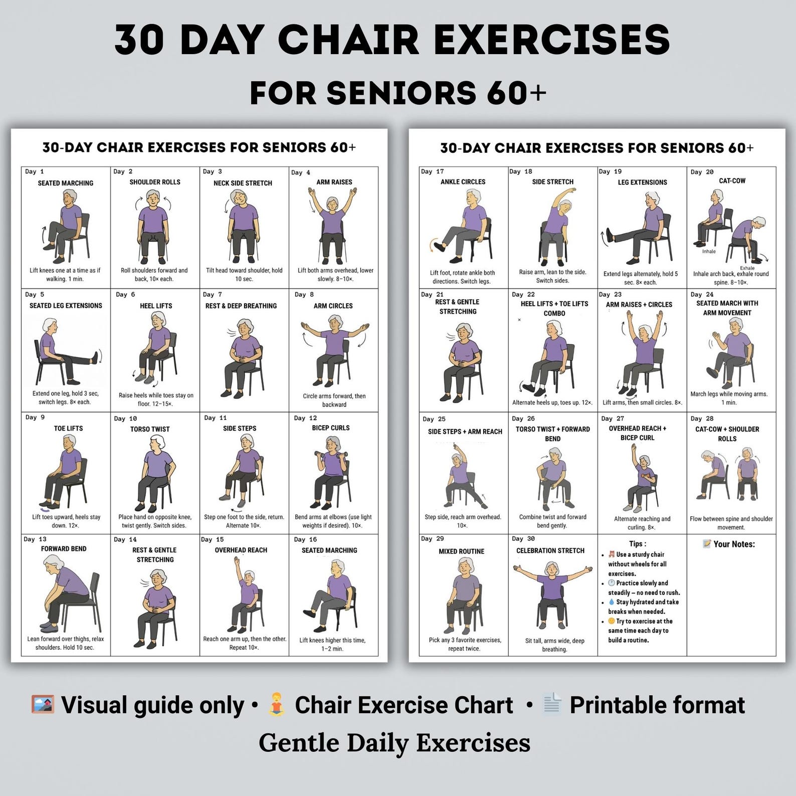 30 Day Chair Exercises for Seniors 60+ | Balance & Mobility Workout ...