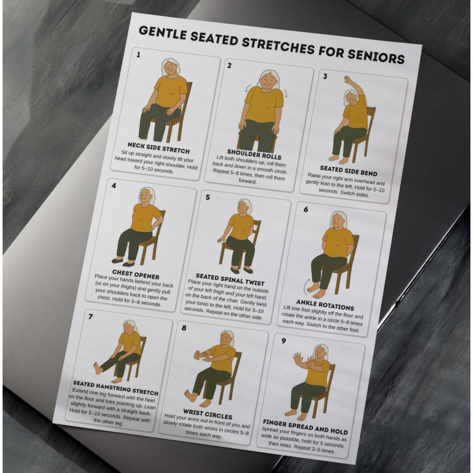 Gentle Seated Stretches for Seniors PDF, Chair Exercise Printable Chart ...