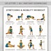 Stretching & Mobility Workout Printable Poster – 16 Flexibility ...