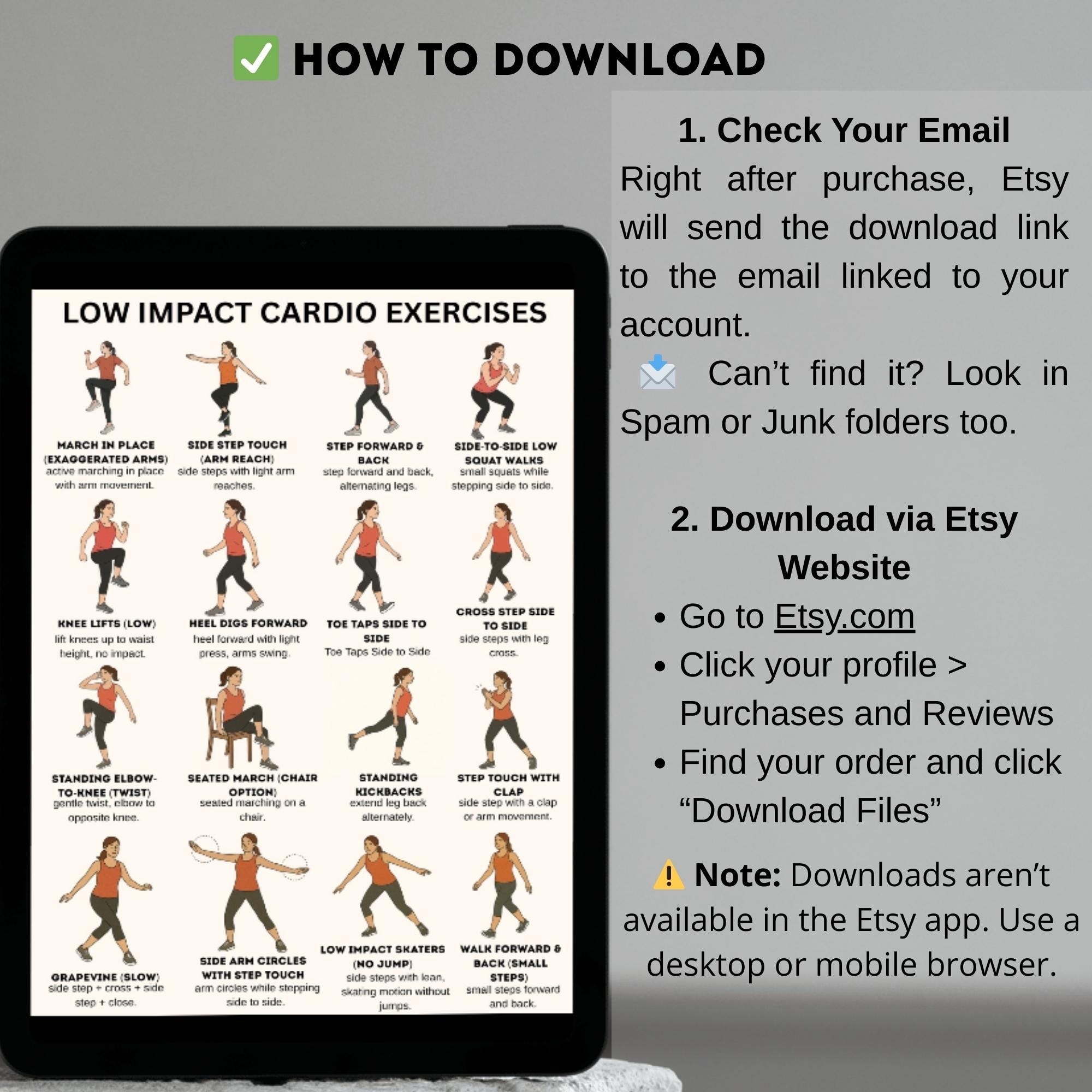 Low Impact Cardio: Senior & Beginner Home Workout Chart (PDF Download ...