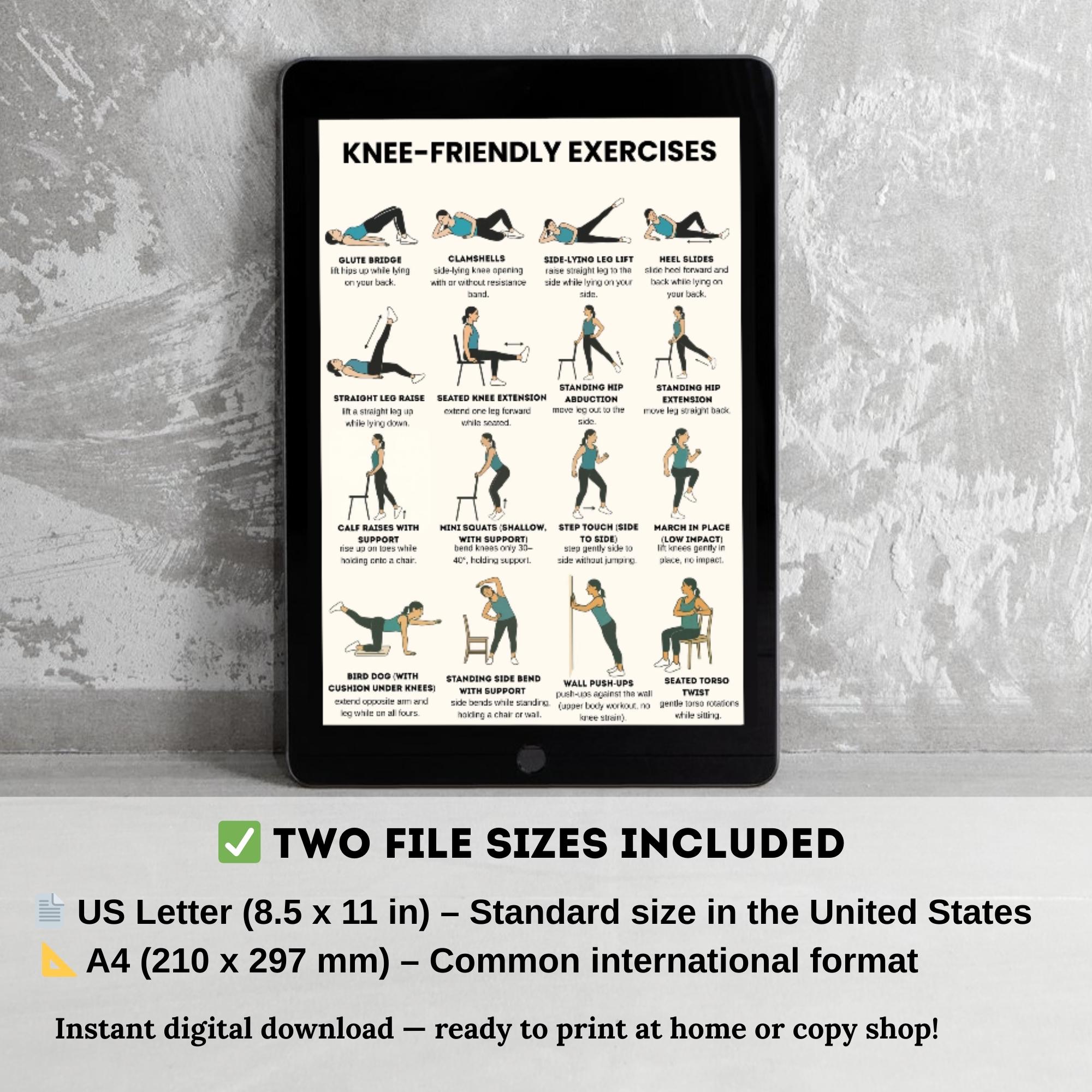 Knee Friendly Exercise Chart: Low Impact Senior Workout (PDF Download ...