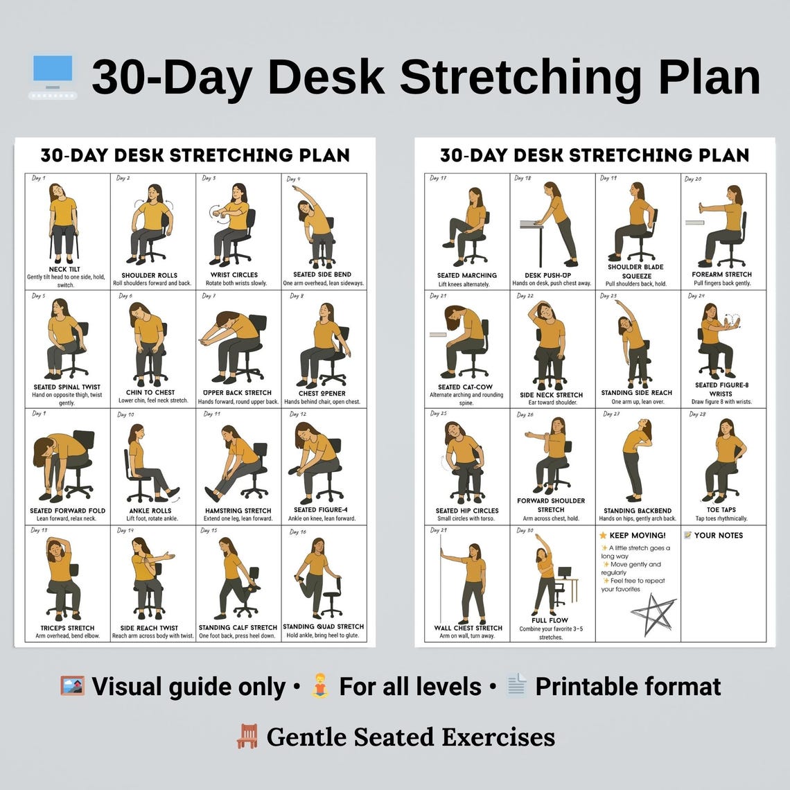 30 Day Desk Stretching Plan, Office Chair Exercises, Gentle Seated ...