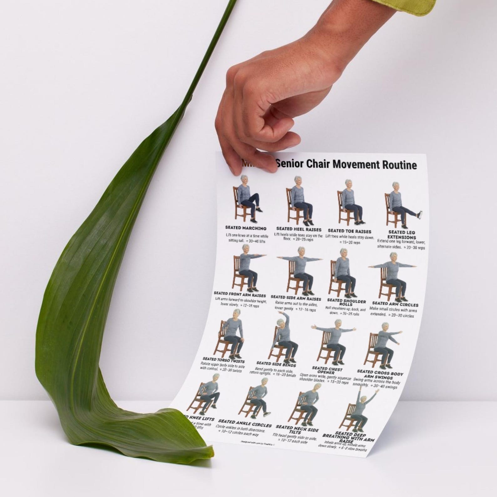 Senior Chair Exercise Poster, Seated Exercises for Seniors, 16 Minute ...