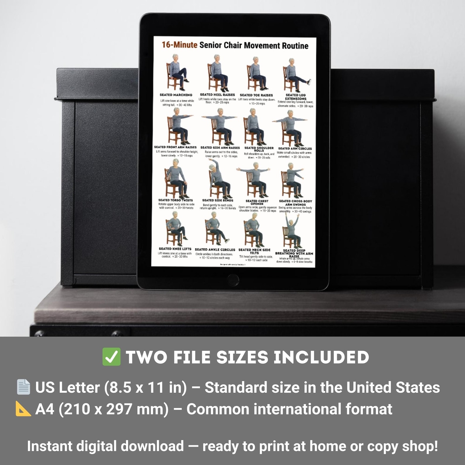 Senior Chair Exercise Poster, Seated Exercises for Seniors, 16 Minute ...