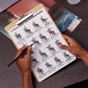 Senior Exercise Poster Bundle, Standing Chair Balance Exercises for ...