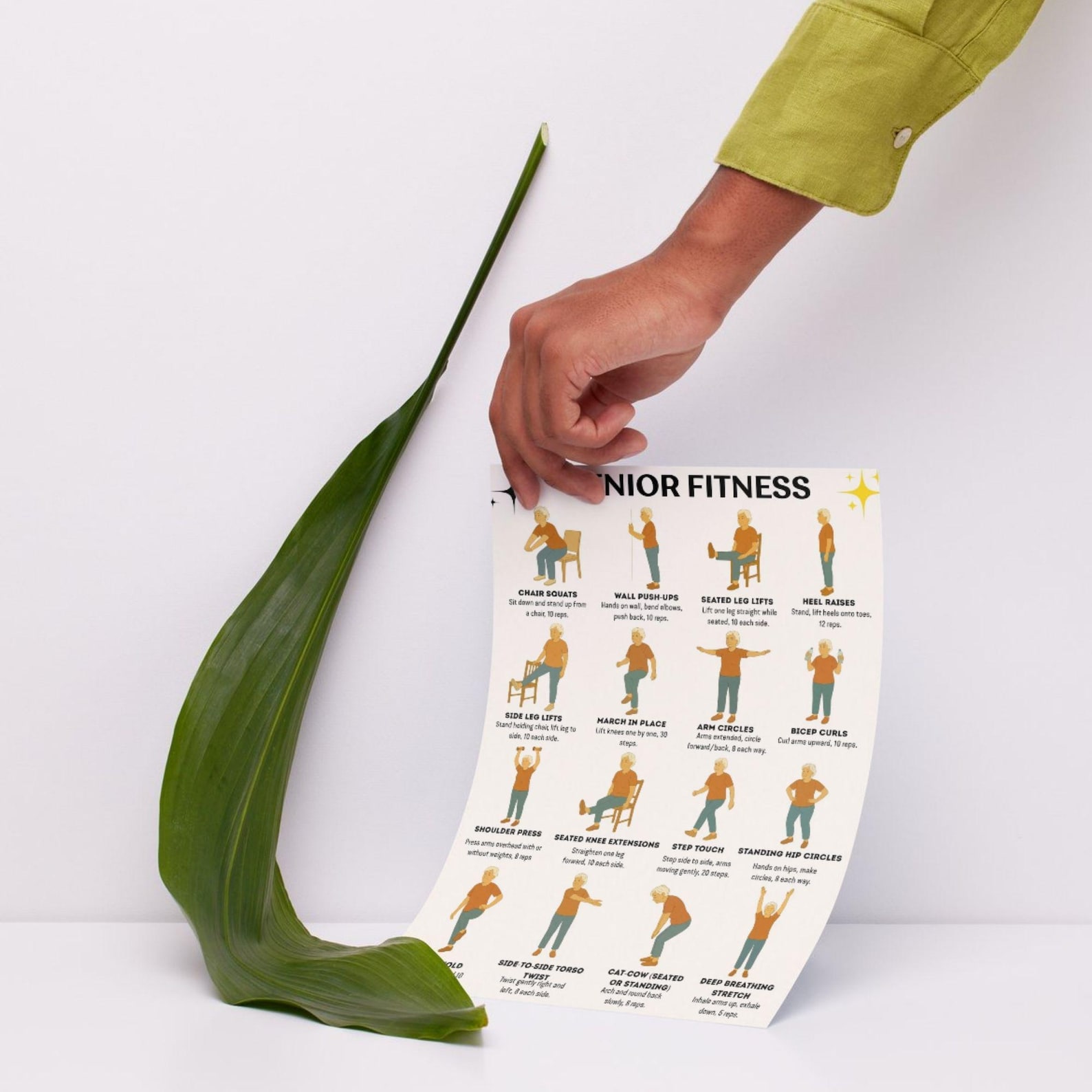 Senior Fitness Printable PDF, 16 Easy Chair & Standing Exercises for ...