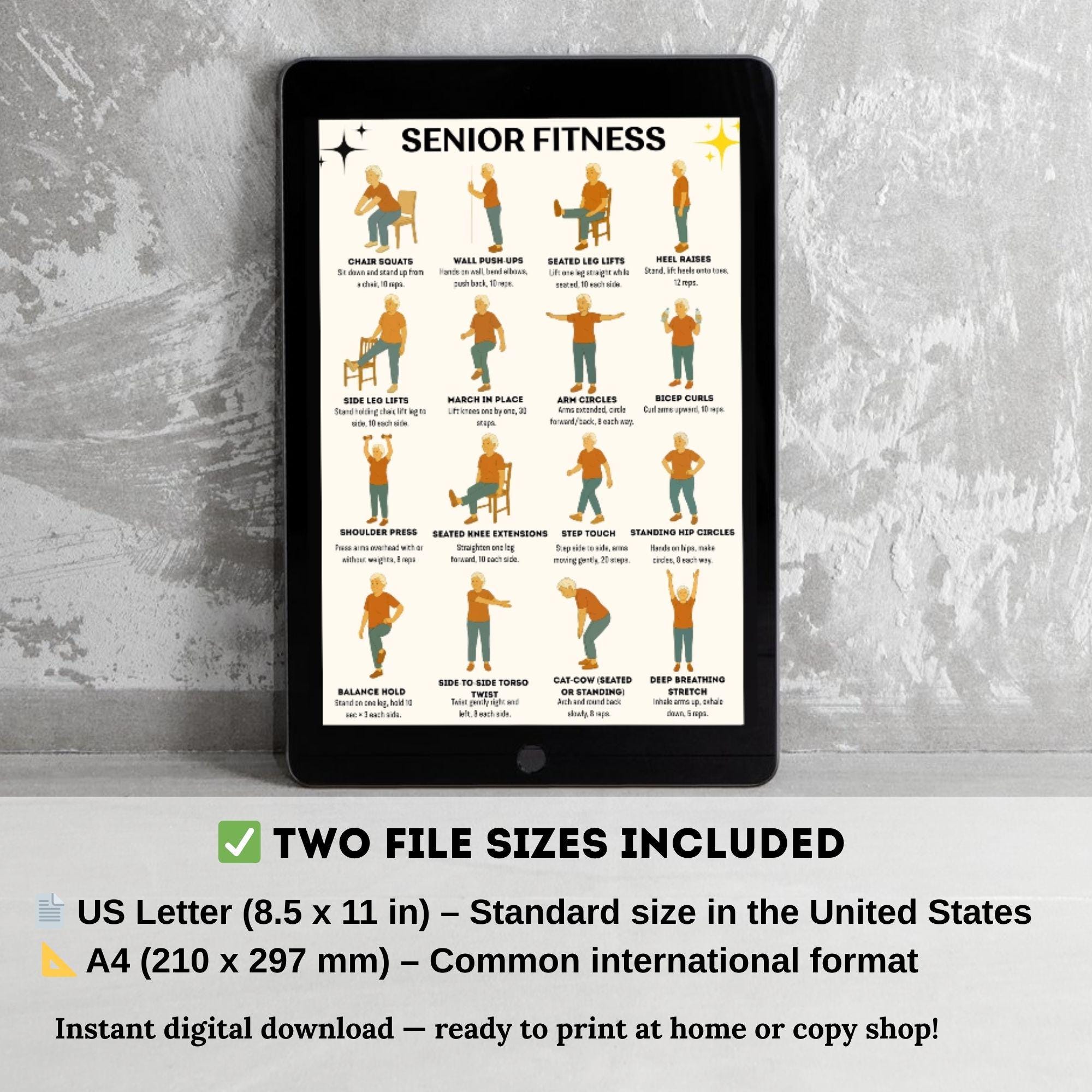 Senior Fitness Printable PDF, 16 Easy Chair & Standing Exercises for ...