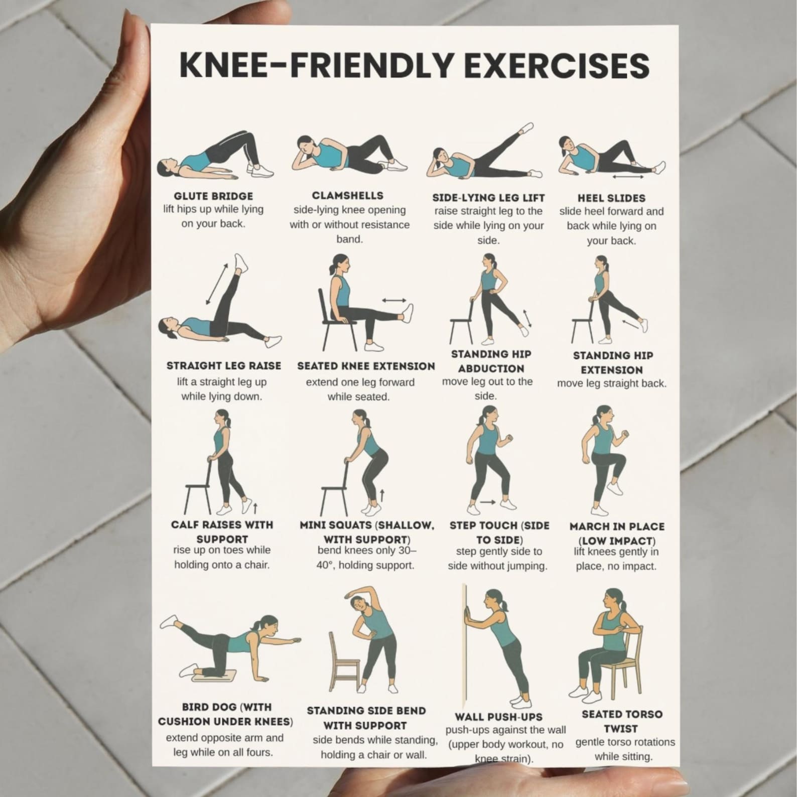 Knee Friendly Exercise Chart: Low Impact Senior Workout (PDF Download ...