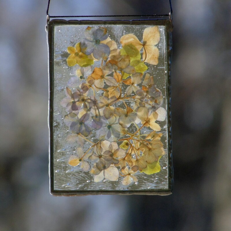 Flower Under Glass - Etsy