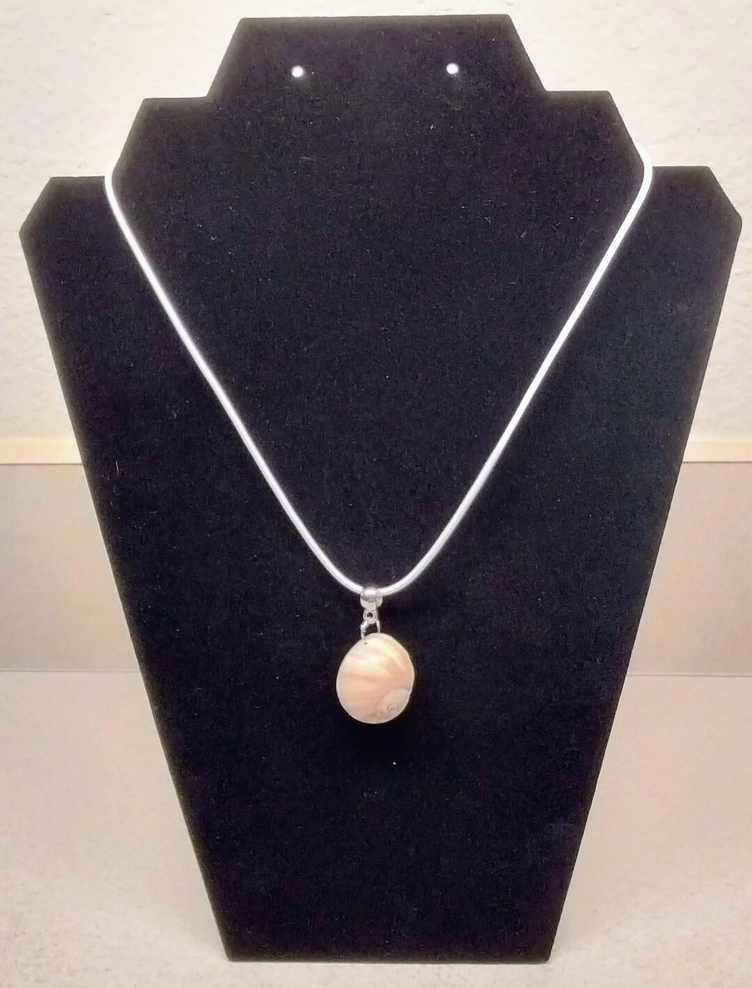 Shark Eye Moon Snail Shell Necklace - Etsy