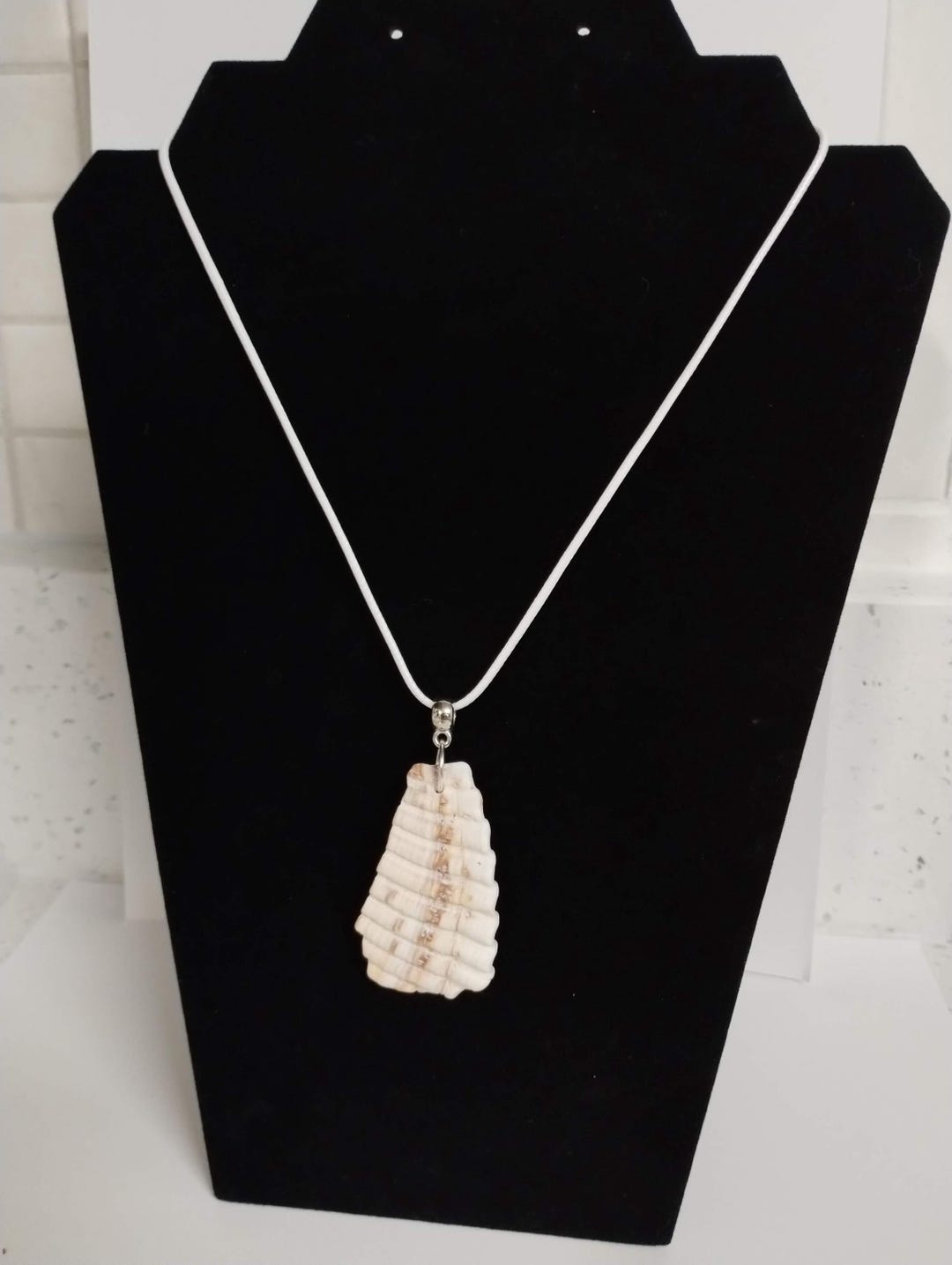 Giant Atlantic Cockle Florida Seashell Pendant Piece Necklace Jewelry ...