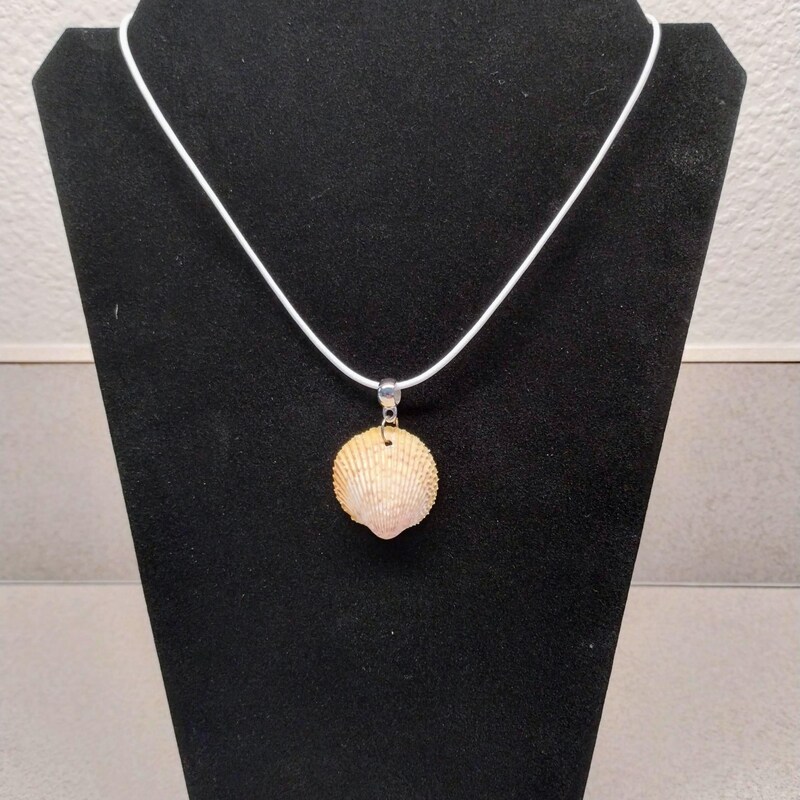 Yellow Cockle Shell - Etsy
