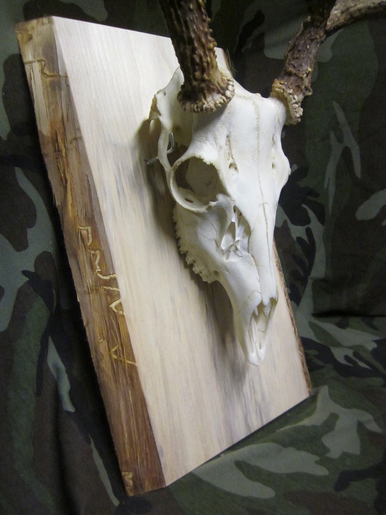 Rustic Natural Edged Wooden European Mounting Board/plaque - Etsy