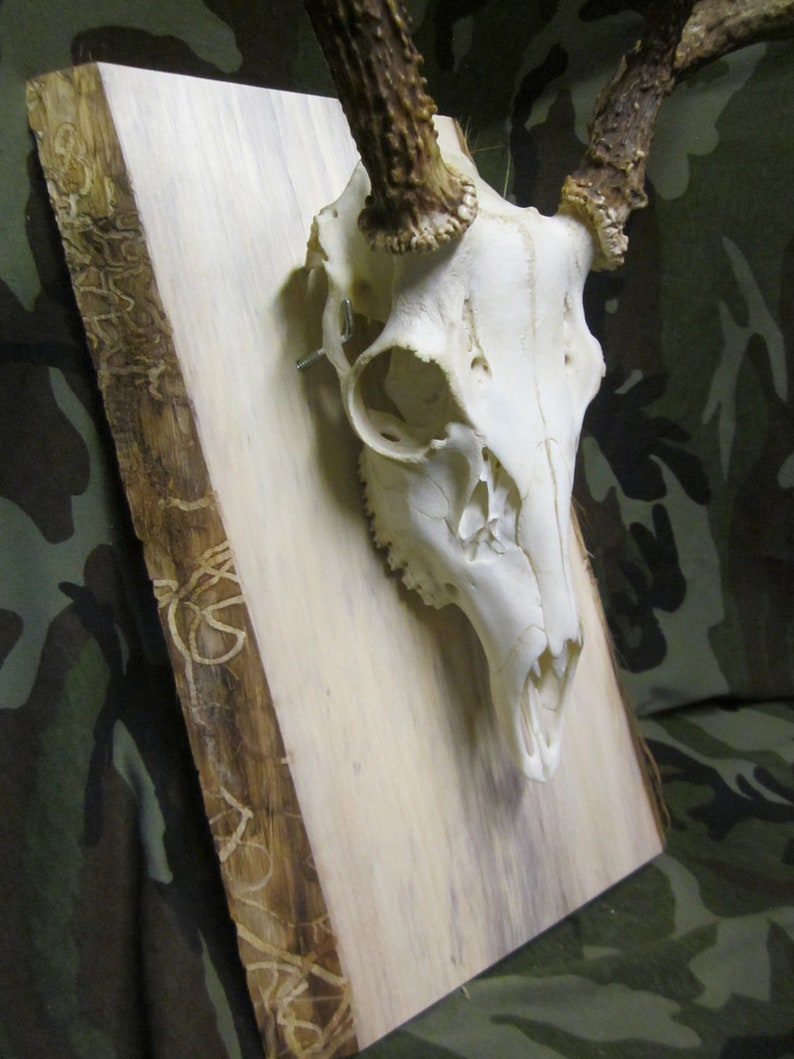 Rustic Natural Edged Wooden European Mounting Board/plaque | Etsy