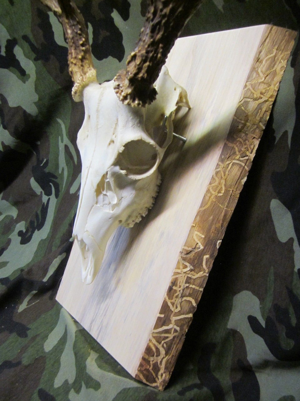 Rustic Natural Edged Wooden European Mounting Board/plaque - Etsy