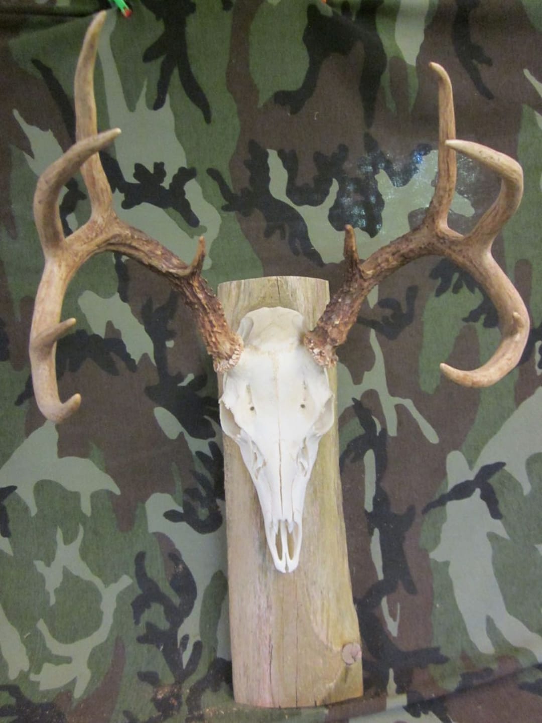 Rustic Natural Edged Wooden European Mounting Board/plaque - Etsy