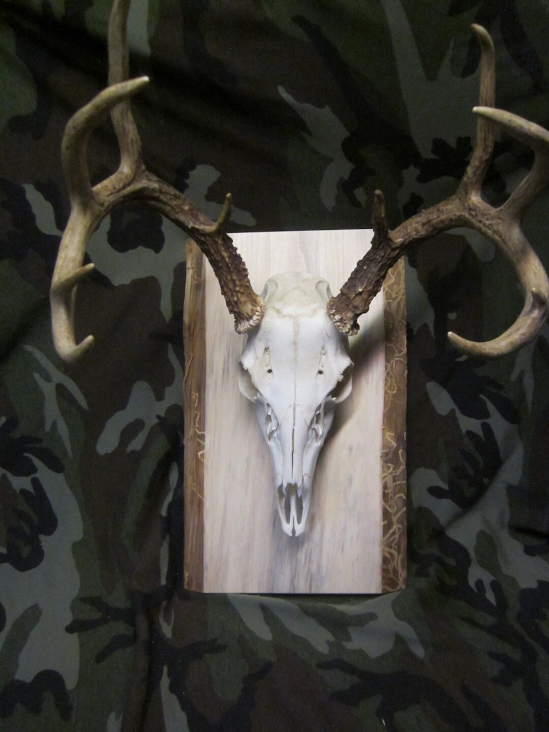 Rustic Natural Edged Wooden European Mounting Board/plaque - Etsy