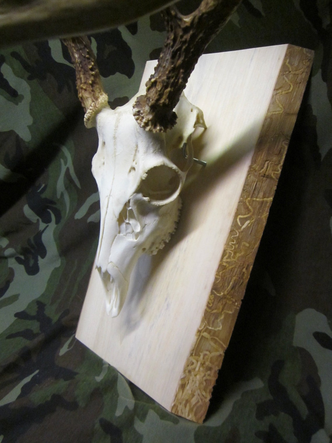 Rustic Natural Edged Wooden European Mounting Board/plaque - Etsy