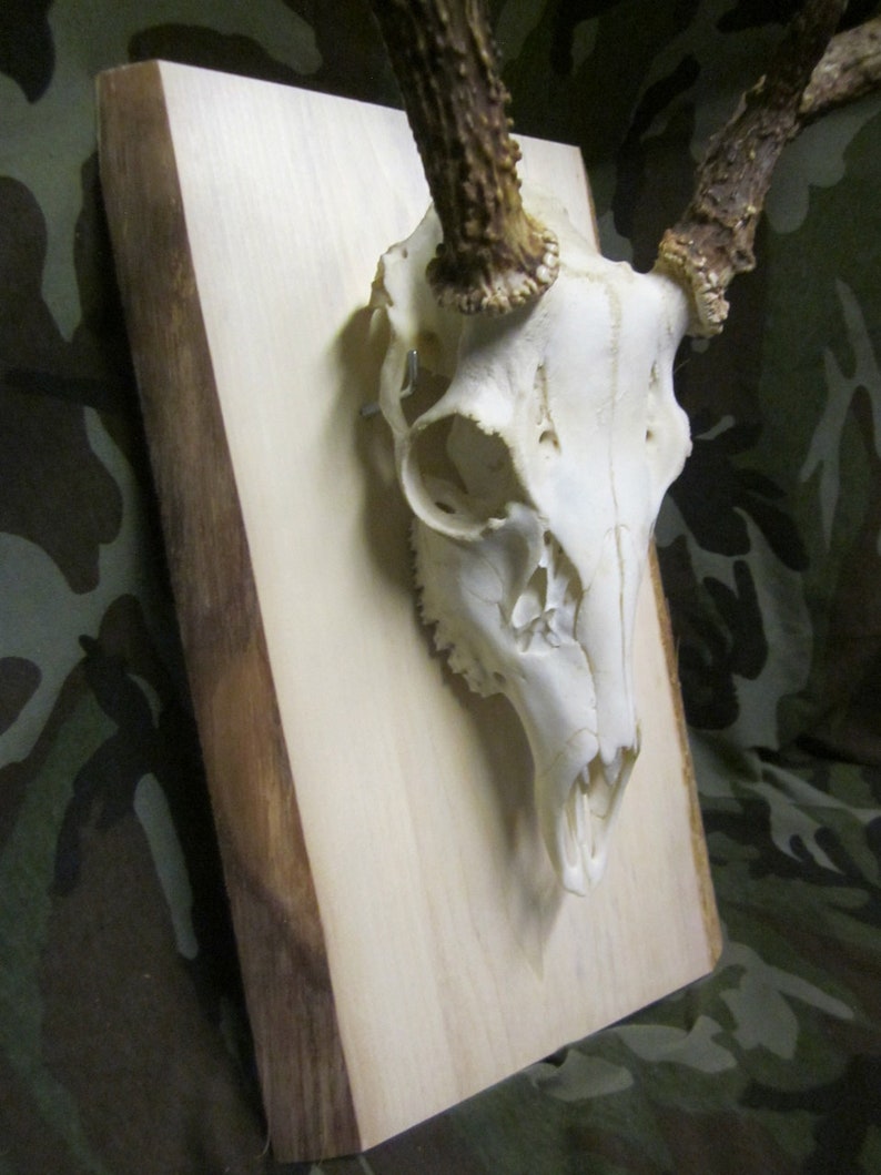 Rustic Natural Edged Wooden European Mounting Board/plaque - Etsy