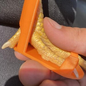 Chicken/duck Leg Splint With Toe Separator 10 Sizes 19 Colours Poultry ...