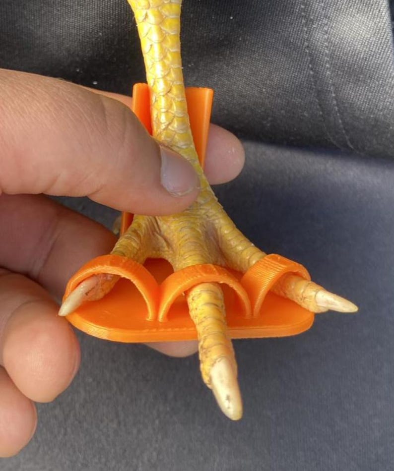 Chicken Leg/foot Splint Growing Stages With Toe Separator 6 Pack 19 ...