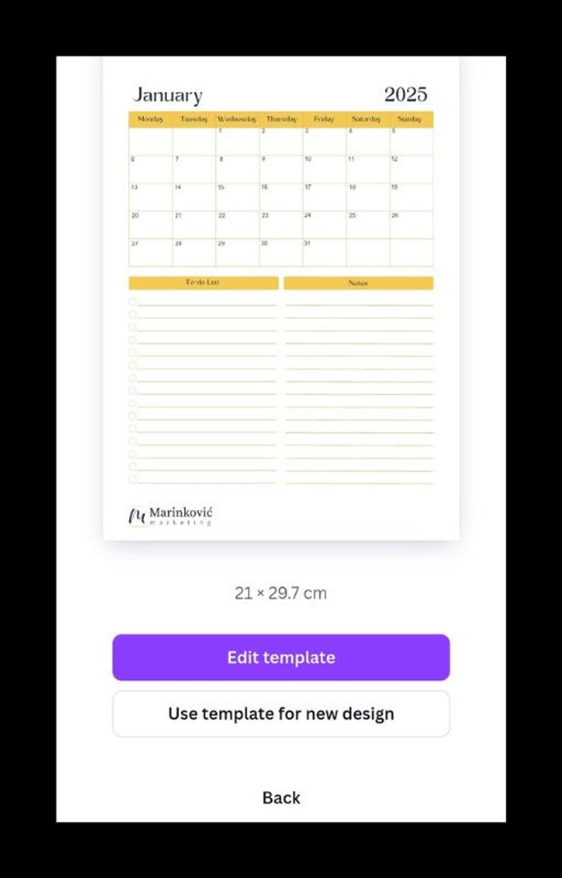 CEO Worksheet 2025 | Luxury Black & Gold Digital Planner | Online ...