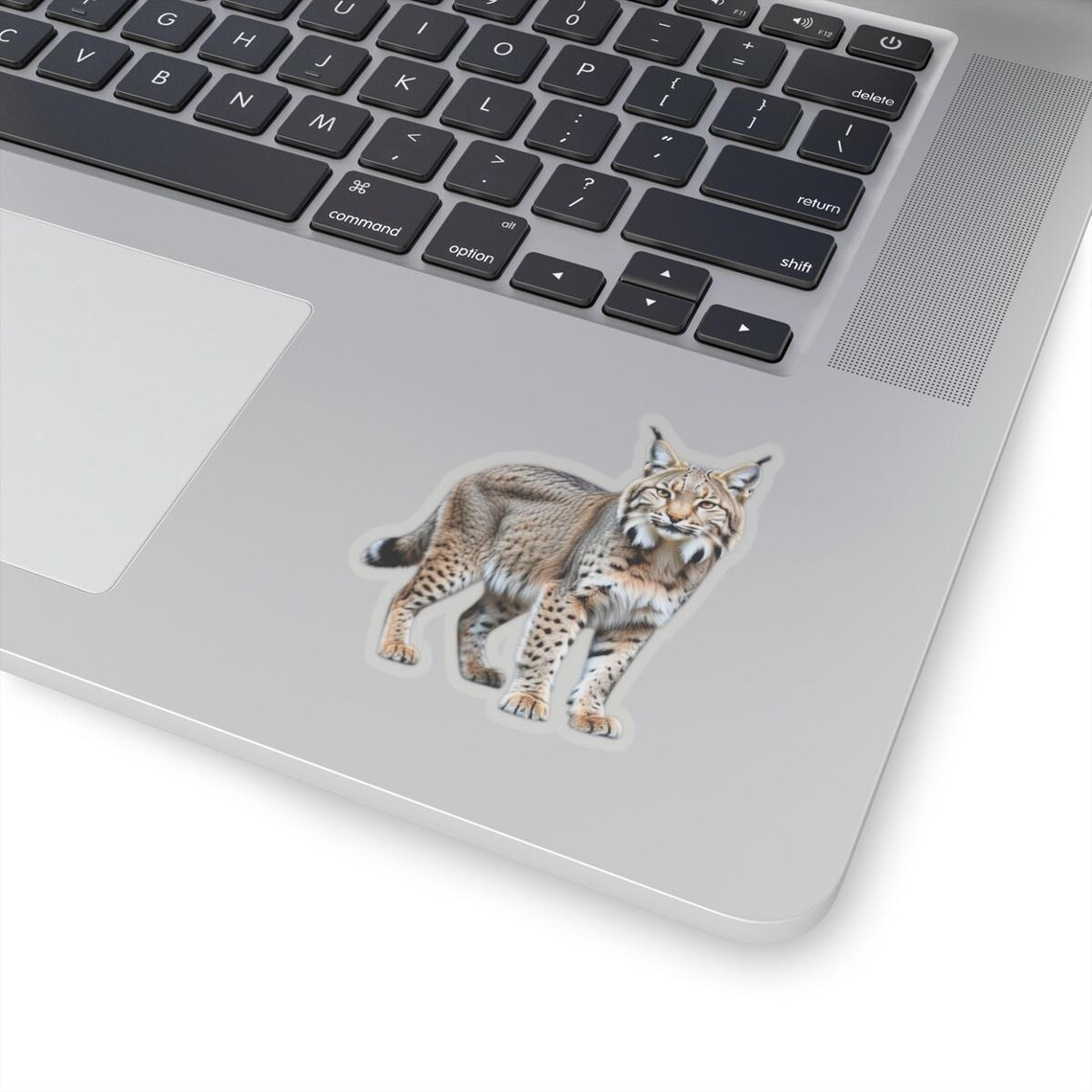 Bobcat Sticker: Wildlife Laptop Decor, Scrapbooking - Etsy