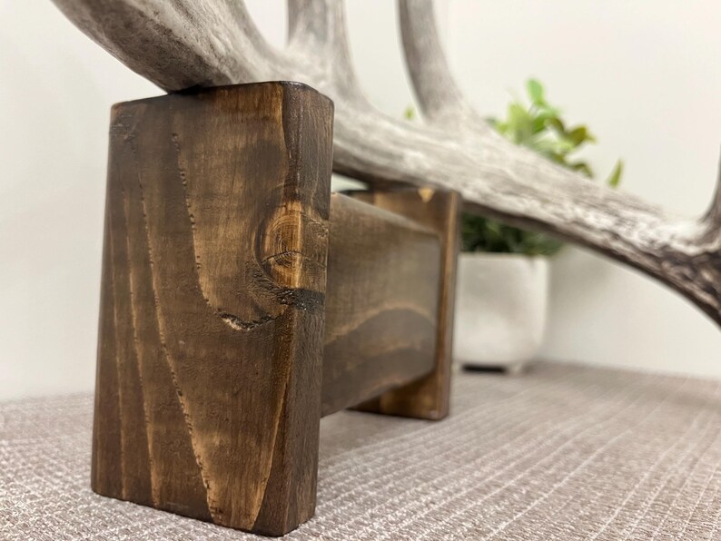 Shed Antler Display Stand (any Size- Deer Antler)- “stained” - Etsy