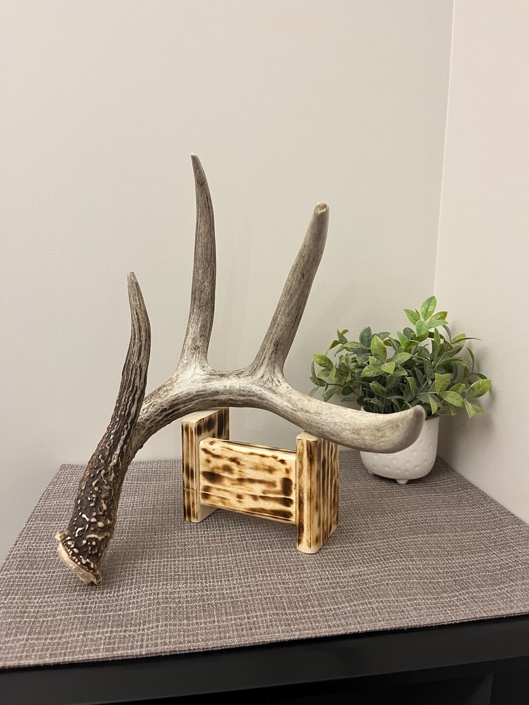 Shed Antler Display Stand (any Size- Deer Antler)- “burnt”, Hunting ...