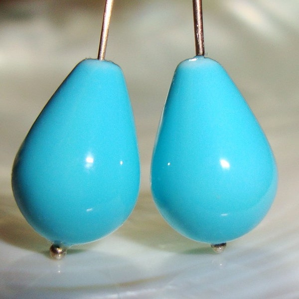 Turquoise Sea Shell - Etsy