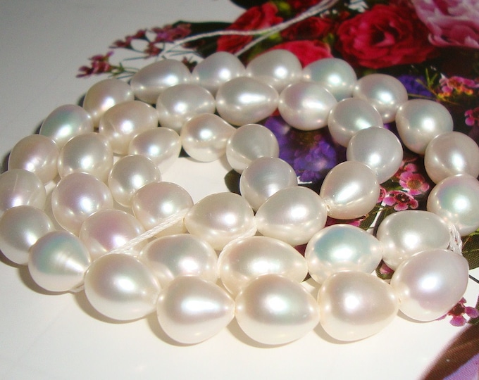 1/2 Strand, Fresh Water Pearl, 8-9x7-7.5mm, Natural Creamy White Drop ...